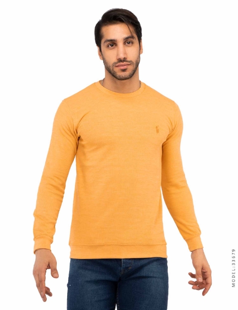 خرید و قیمت بلوز مردانه Polo مدل 33679 | ترب